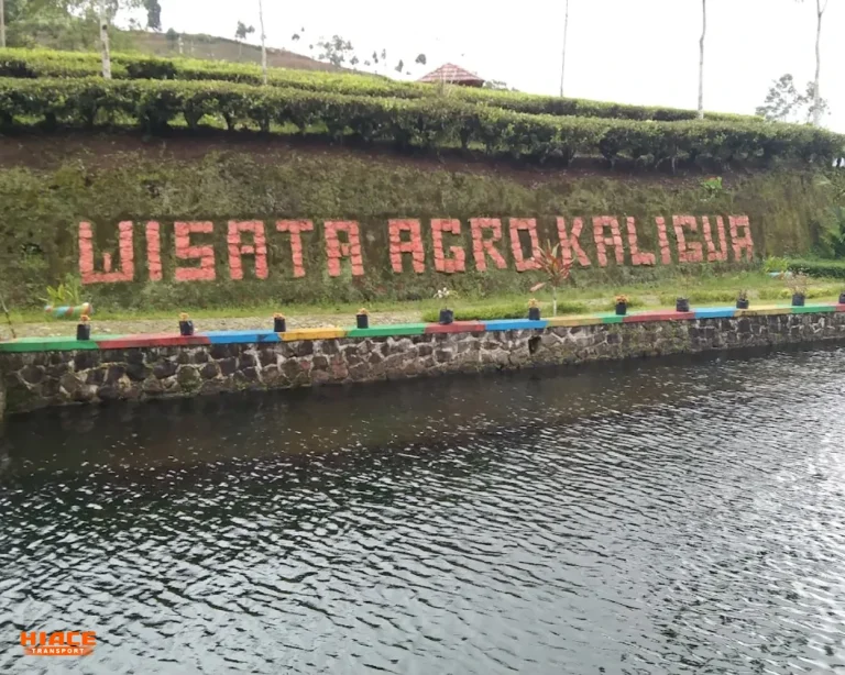 Wisata Agro Kaligua Brebes Keindahan Alam & Udara Sejuk