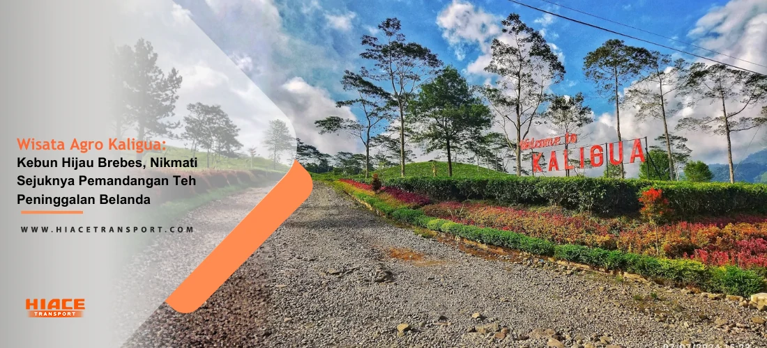 Wisata Agro Kaligua Brebes Keindahan Alam & Udara Sejuk